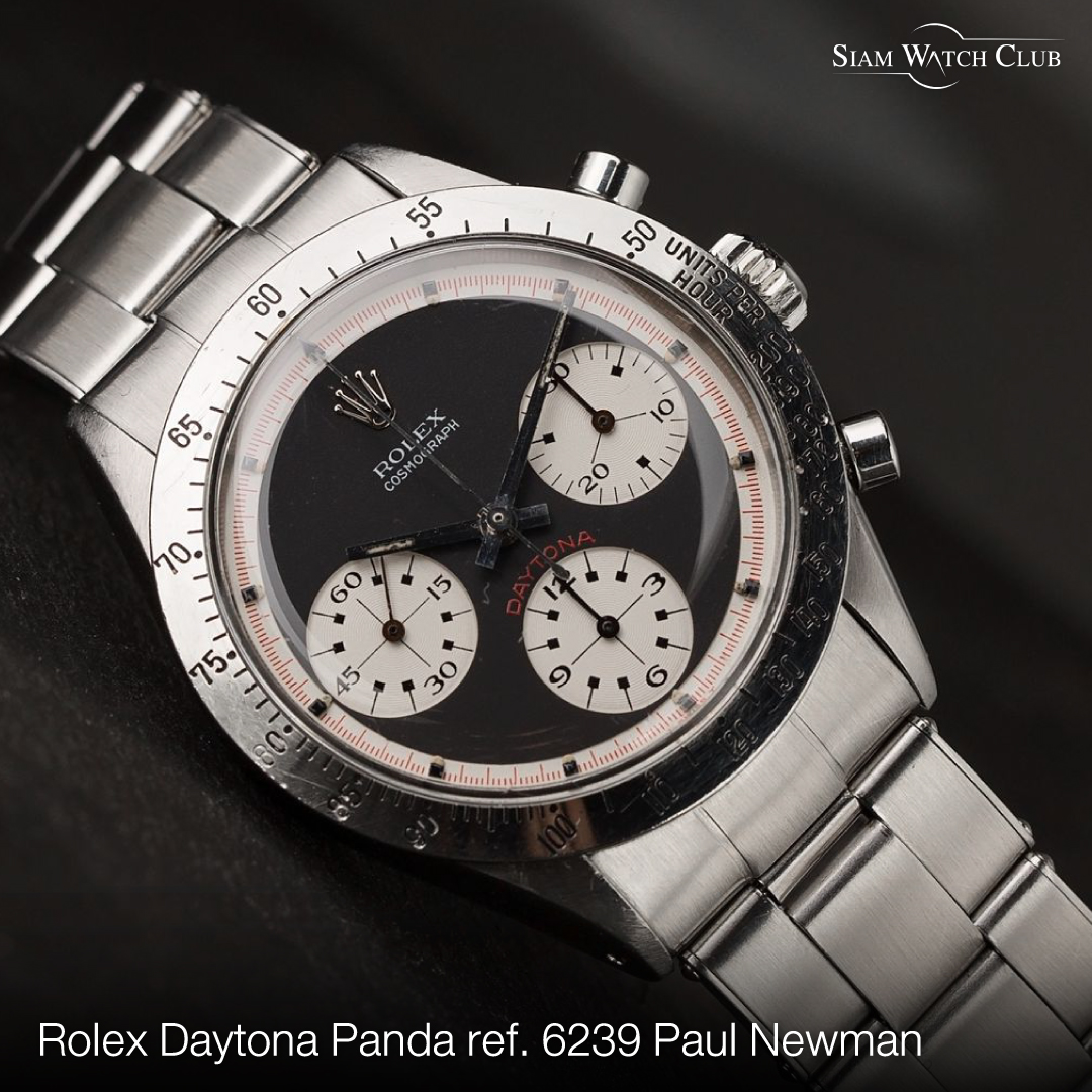 รู้จักตัวท็อป 5 รุ่นจาก Rolex Daytona Panda | Siam Watch Club